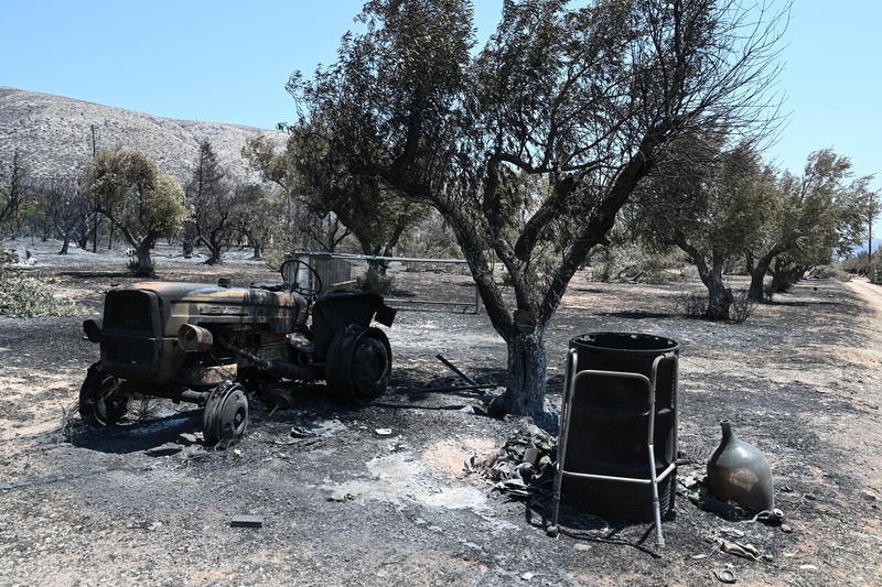 Φωτιά στην Αττική: Στάχτη 35 χιλιάδες στρέμματα σε Λαγονήσι, Σαρωνίδα ...