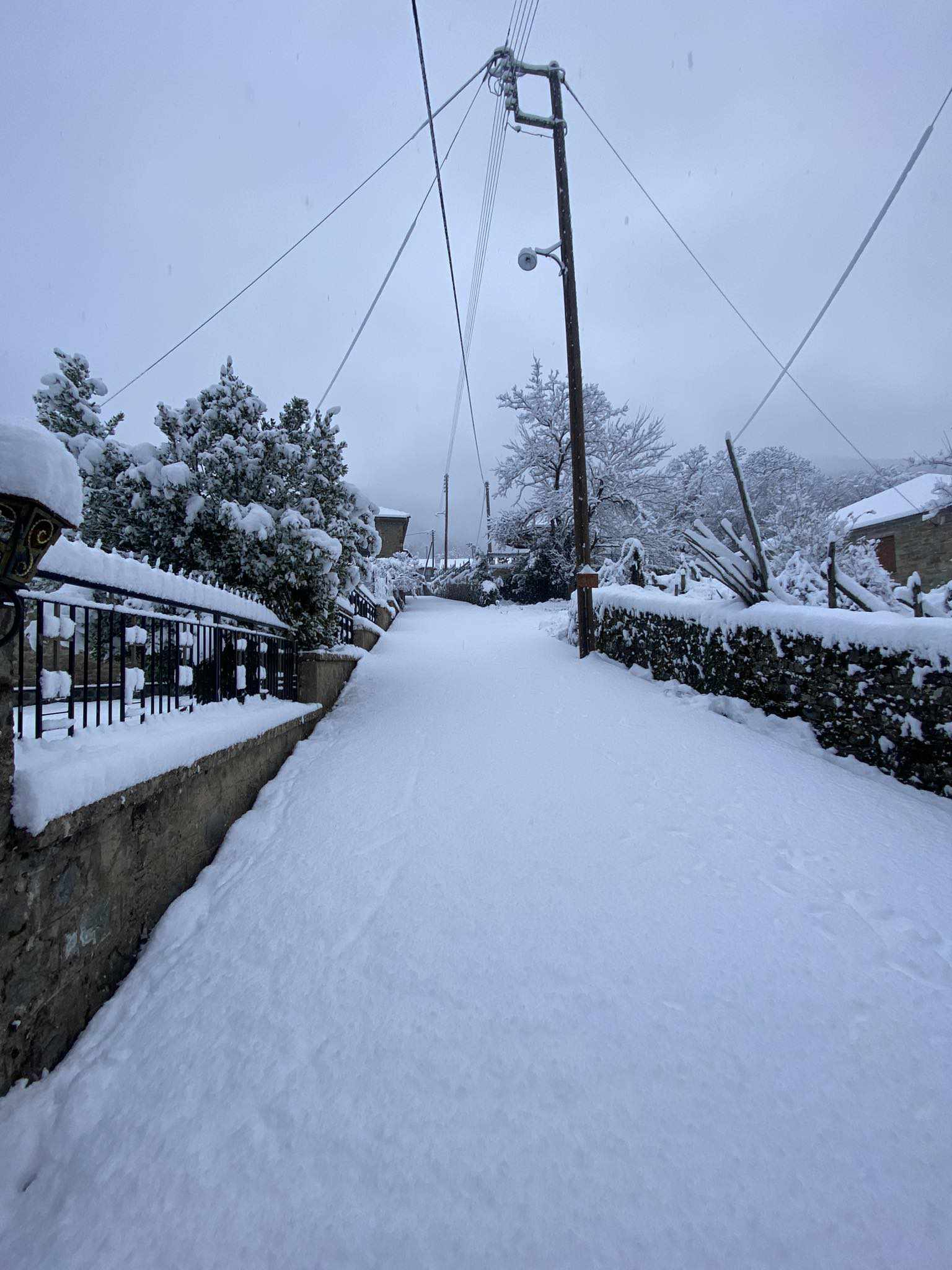 Ζαγόρι: Η συγκινητική ιστορία του 14χρονου μαθητή που κάνει καθημερινά ...