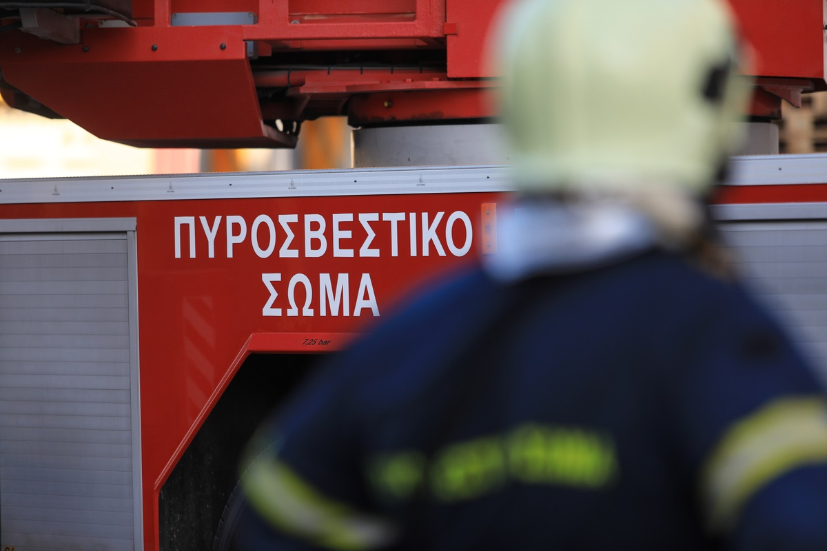 Φωτιά στο δάσος Σέιχ Σου στη Θεσσαλονίκη - Έγκαιρη επέμβαση από την ...