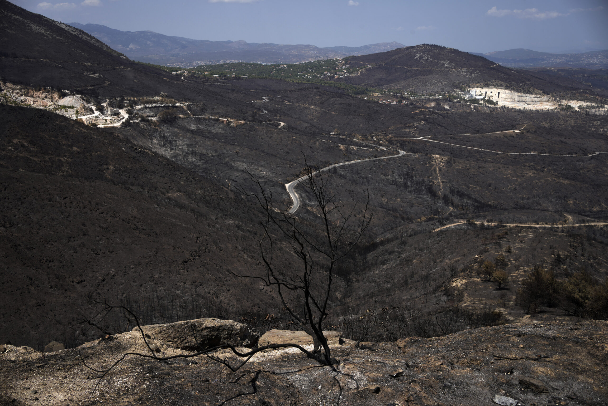 Μέσα σε 8 χρόνια χάθηκε το 37% των δασών της Αττικής - Αγωνία για το ...