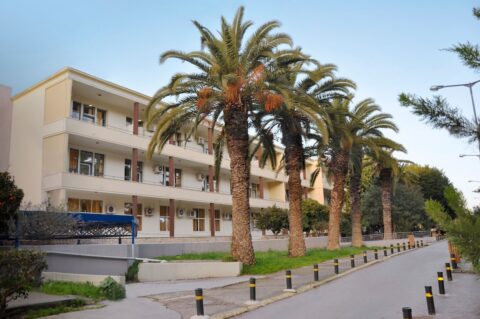 ΜΕΣΑΡΑ
